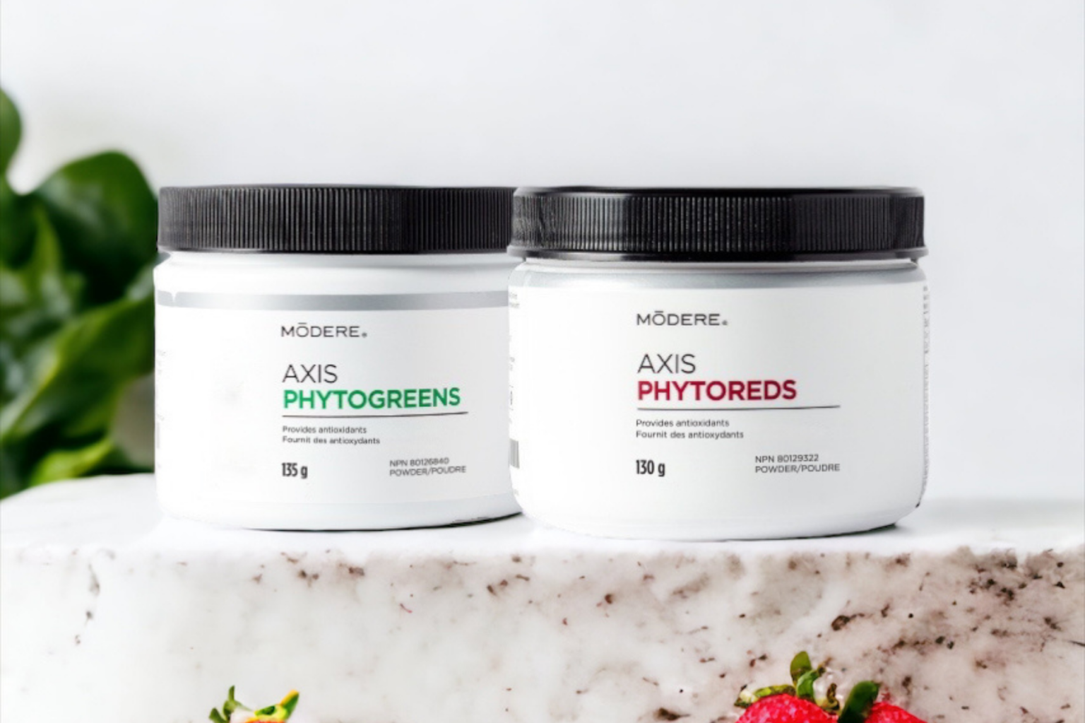 The Latest - Modere